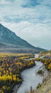 34 Best Nature Photography Examples - Link A Daily
